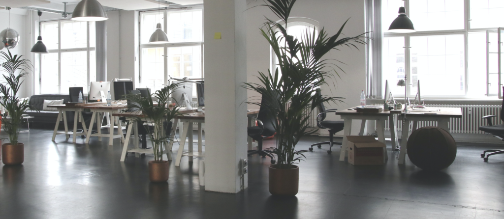 Performance Cleaners